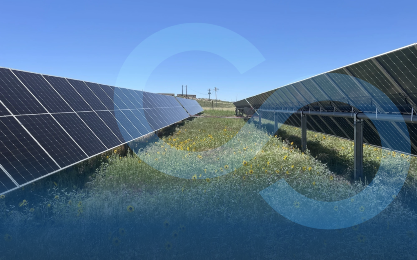 About SunCentral, The Platform for Community Solar